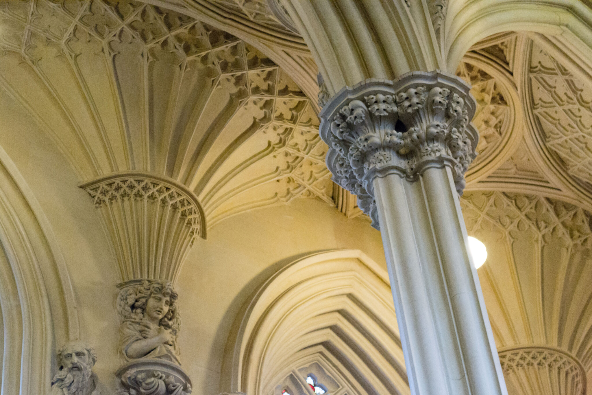 Biophilic Design Institute | What is Biophilic Design?